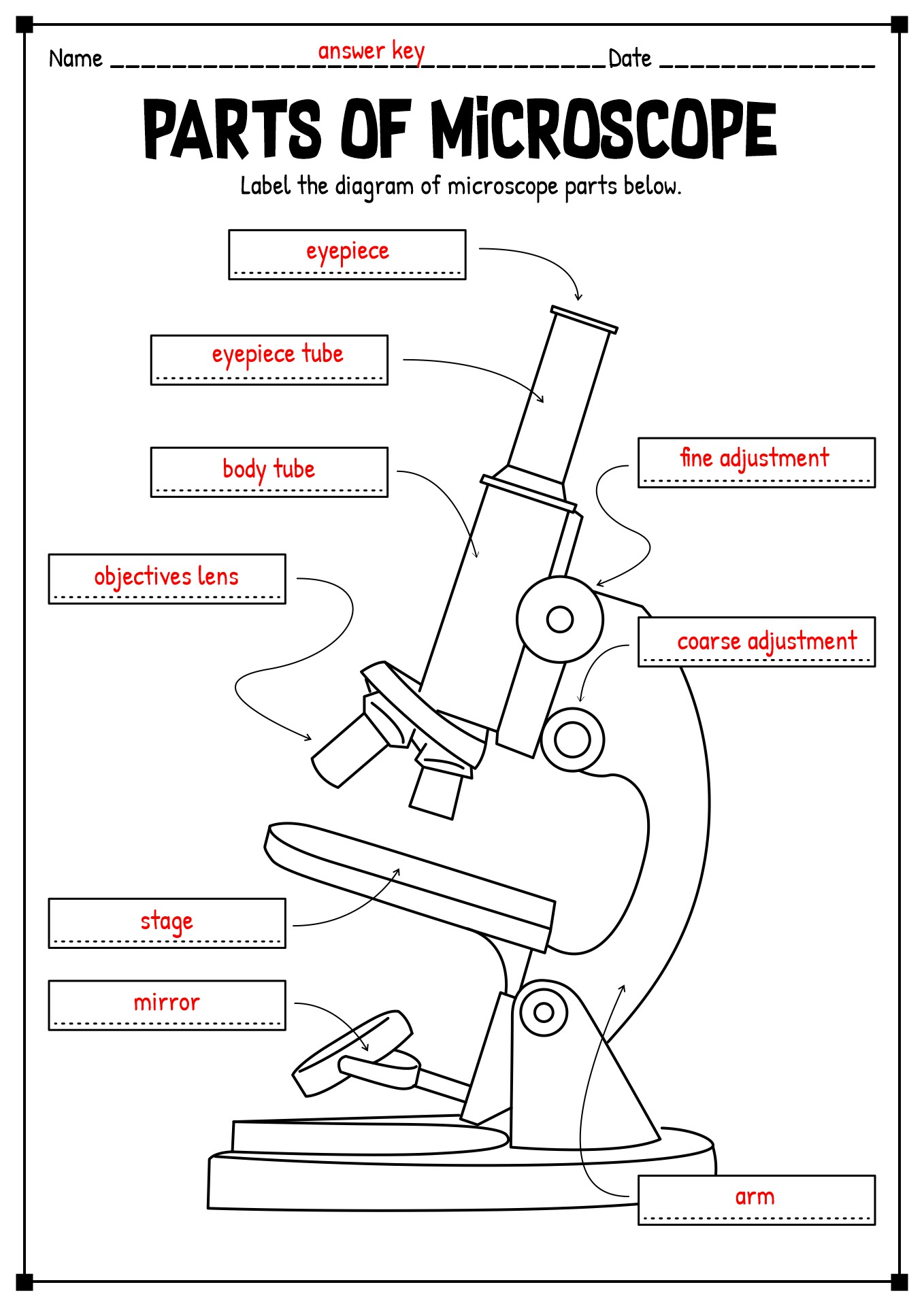 Free Printable Microscope Observation Worksheet - Worksheets Template Free