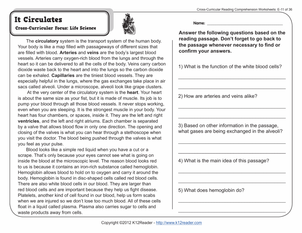 5th Grade E-Reading Comprehension Worksheets - Worksheets Template Free