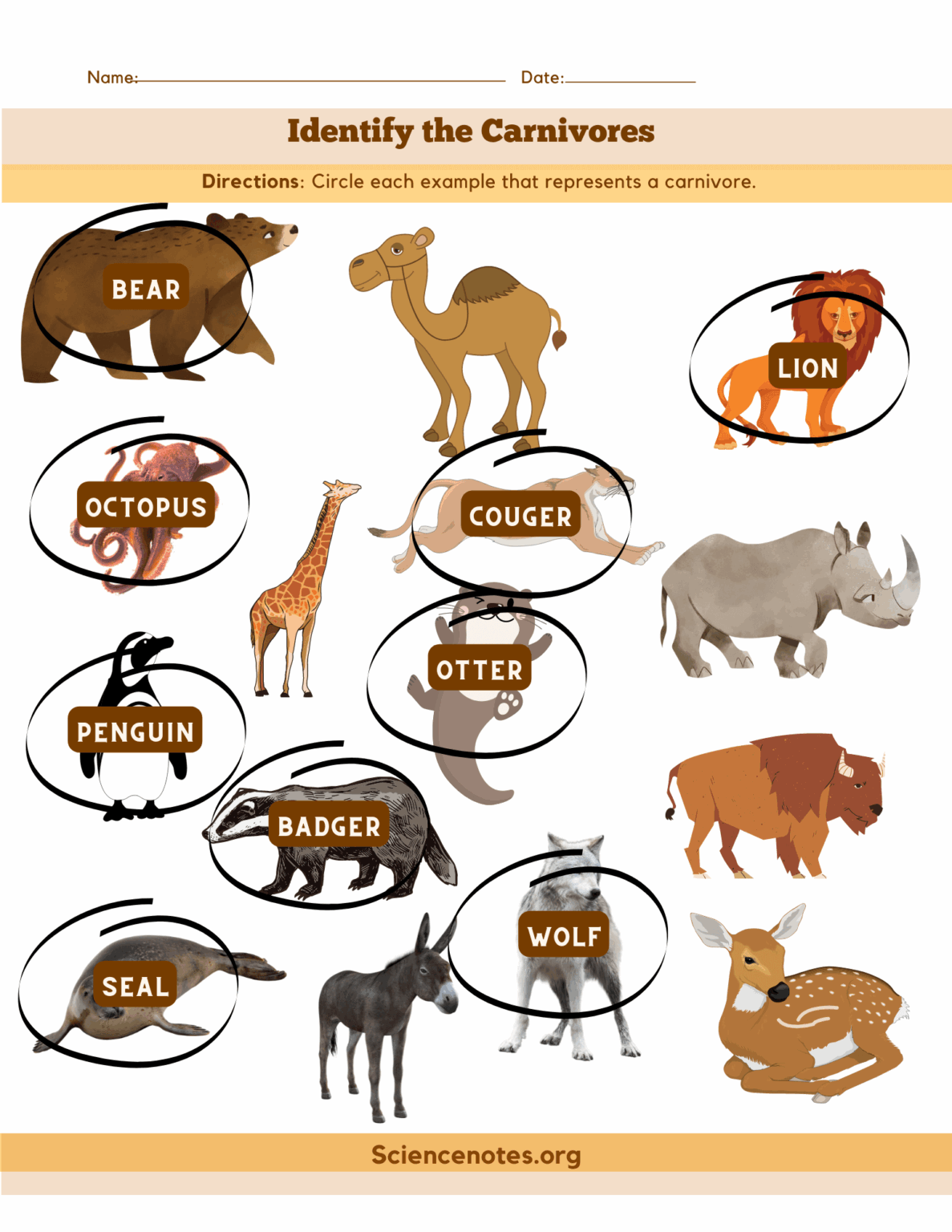 Free Printable Mammal Worksheets - Worksheets Template Free