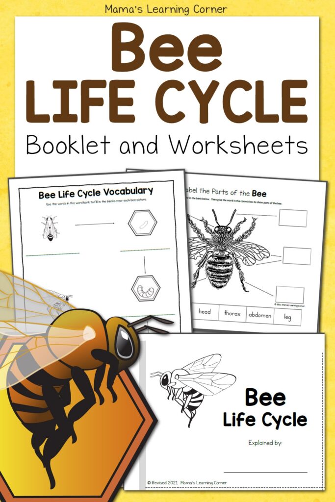 Free Printable Bee Worksheets - Worksheets Template Free