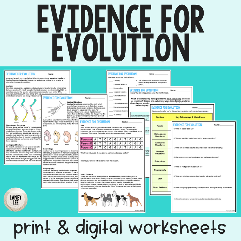 Evolution Reading Comprehension Worksheet - Worksheets Template Free
