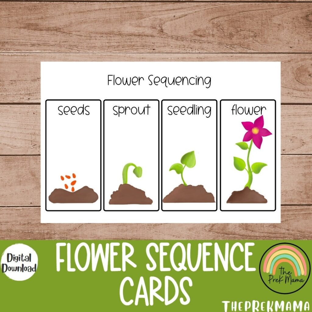 Printable Sequencing Cards For Preschool - Worksheets Template Free