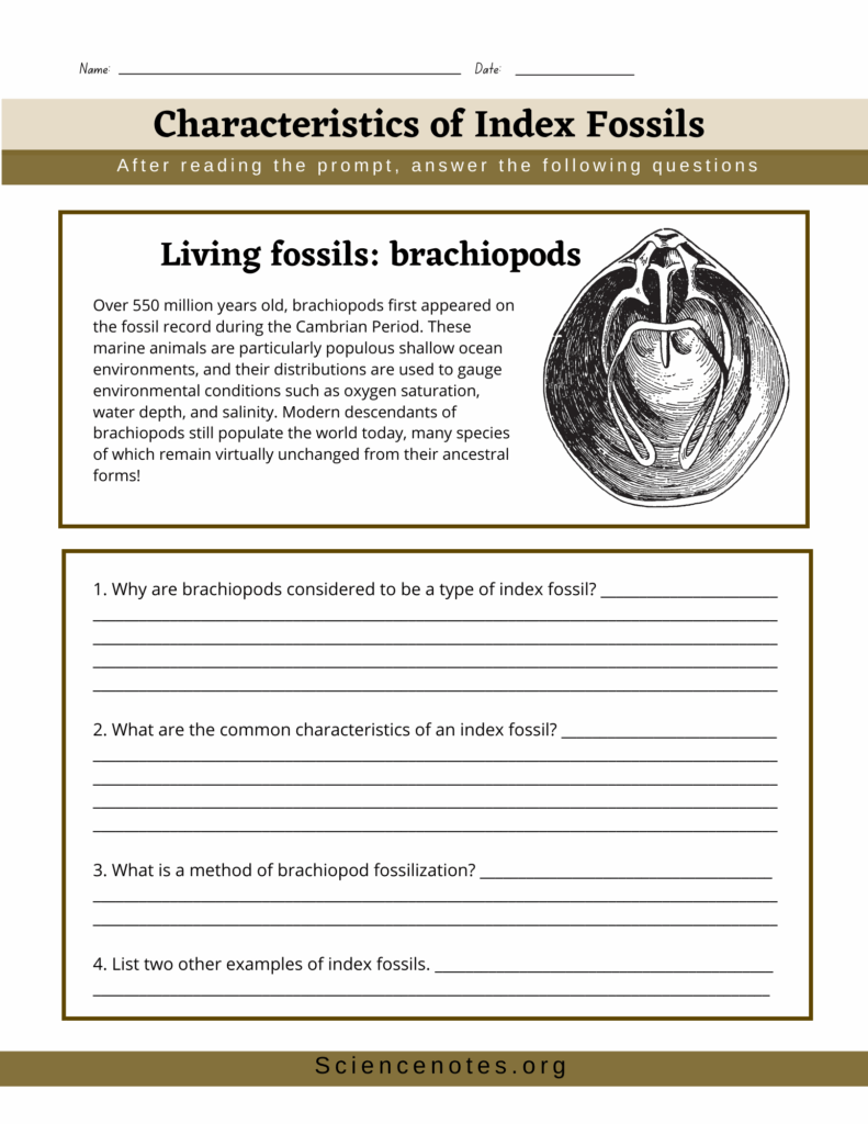 Fossils And Fossilization Free Printable Worksheets - Worksheets ...