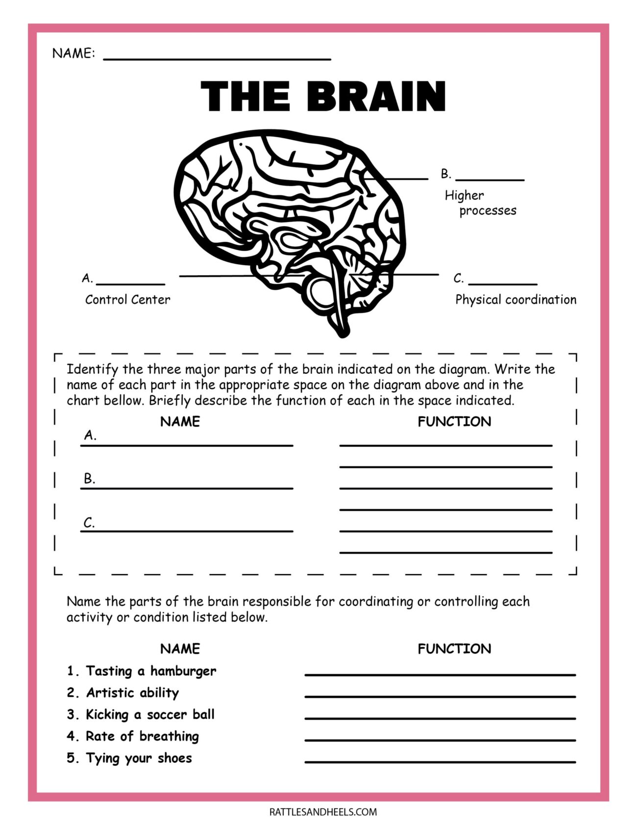Free Elementary Science Worksheets Printable - Worksheets Template Free