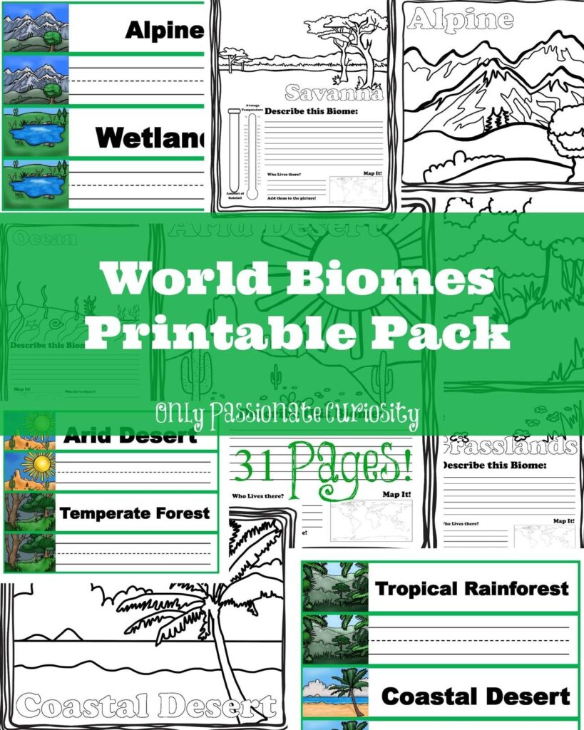 Free Printable Biomes Worksheets - Worksheets Template Free