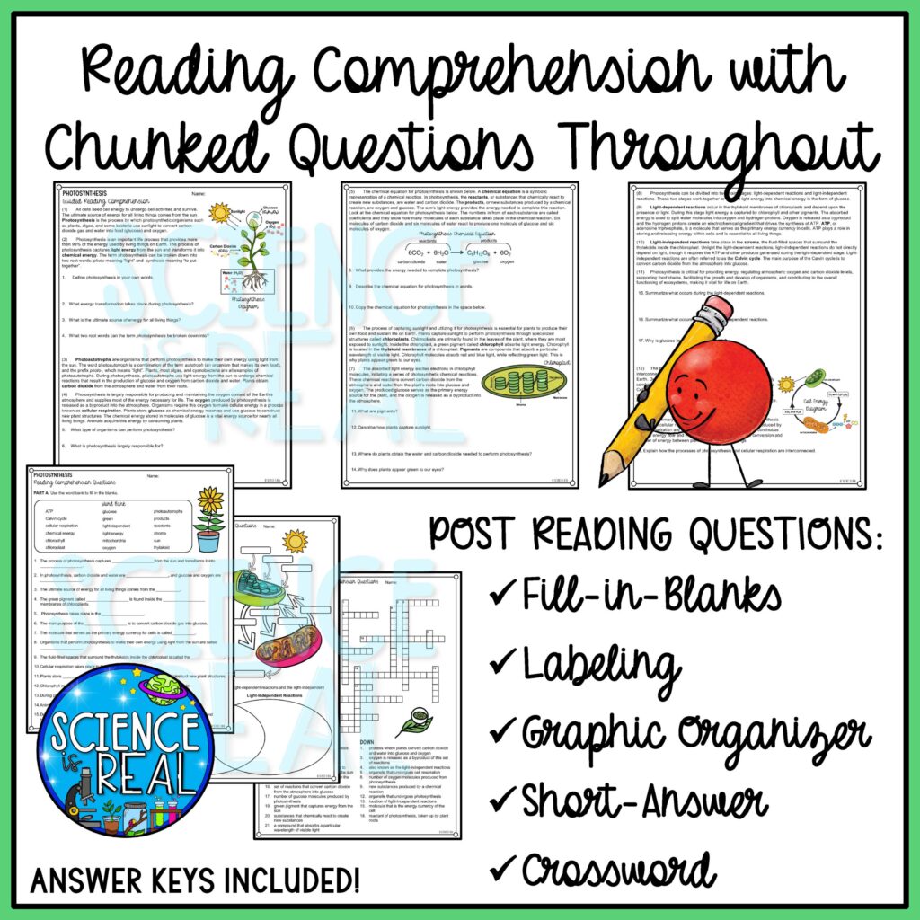 Photosynthesis Reading Comprehension Worksheet - Worksheets Template Free