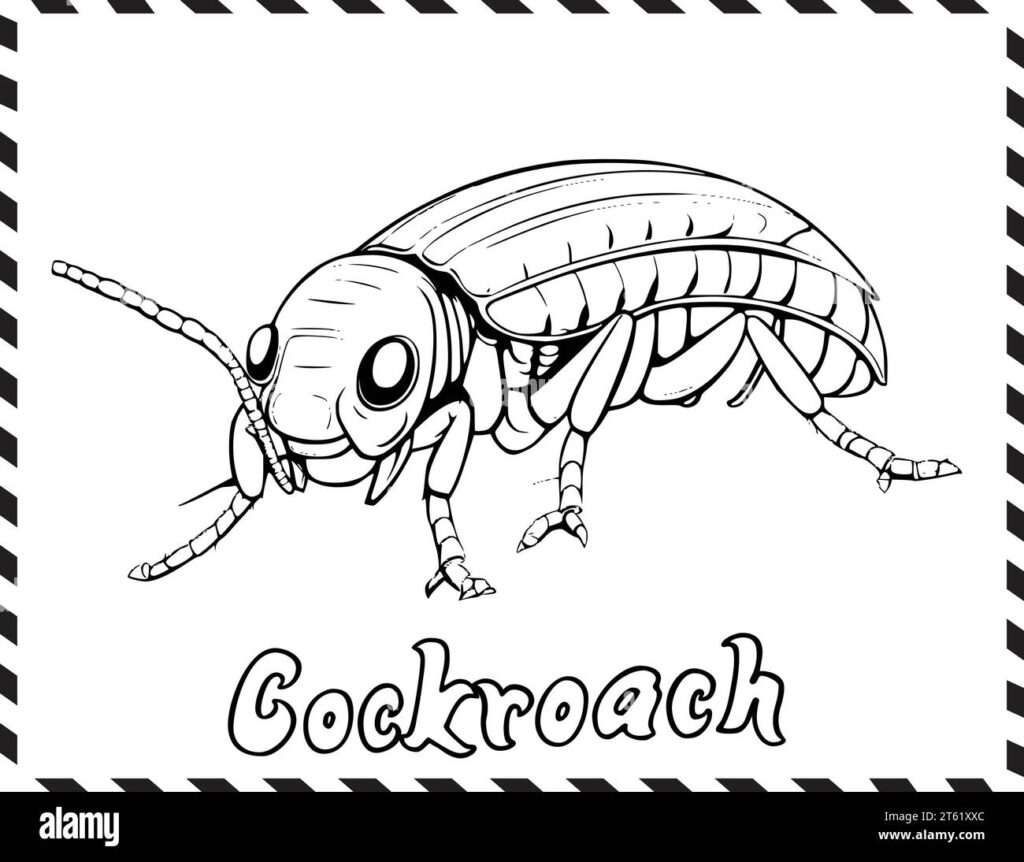 Cockroach Printable Preschool - Worksheets Template Free