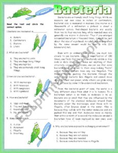 Bacteria Reading Comprehension Worksheet - Worksheets Template Free