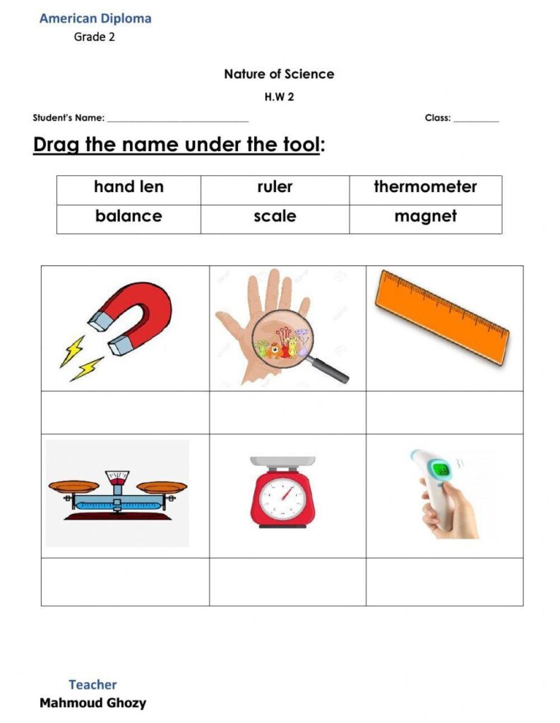 Free Kindergarten Science Tools Worksheet - Worksheets Template Free