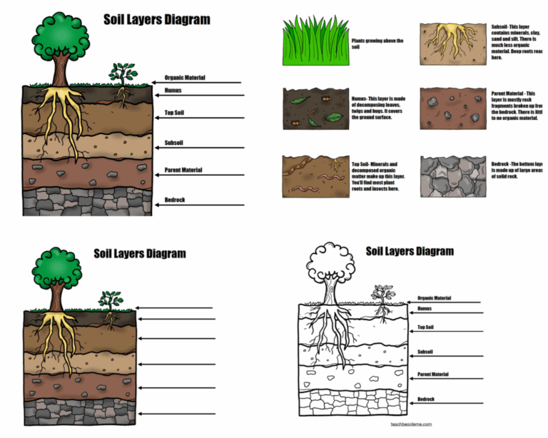 Soil Layers Preschool Printable - Worksheets Template Free