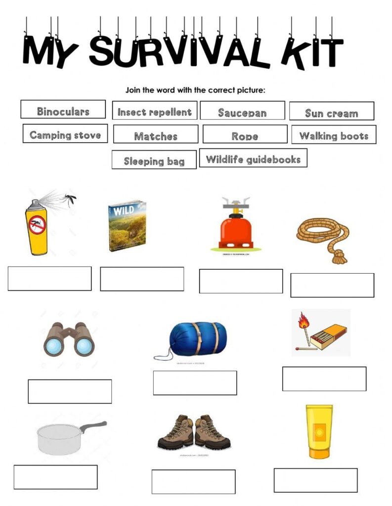 Free Printable Survival Activity Worksheet - Worksheets Template Free