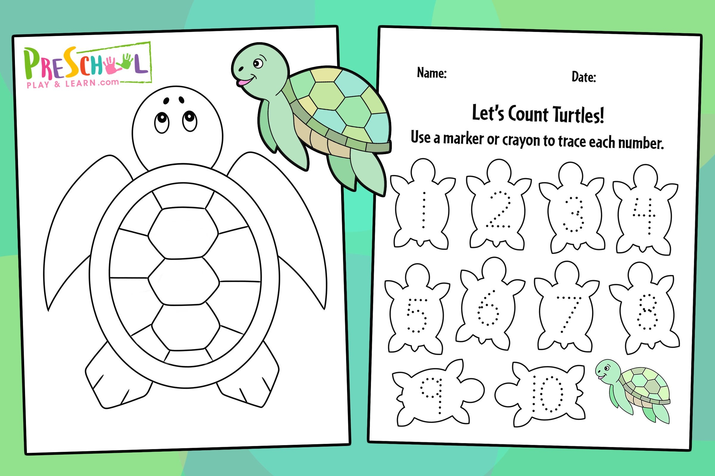 Free Printable Turtle Worksheets - Worksheets Template Free