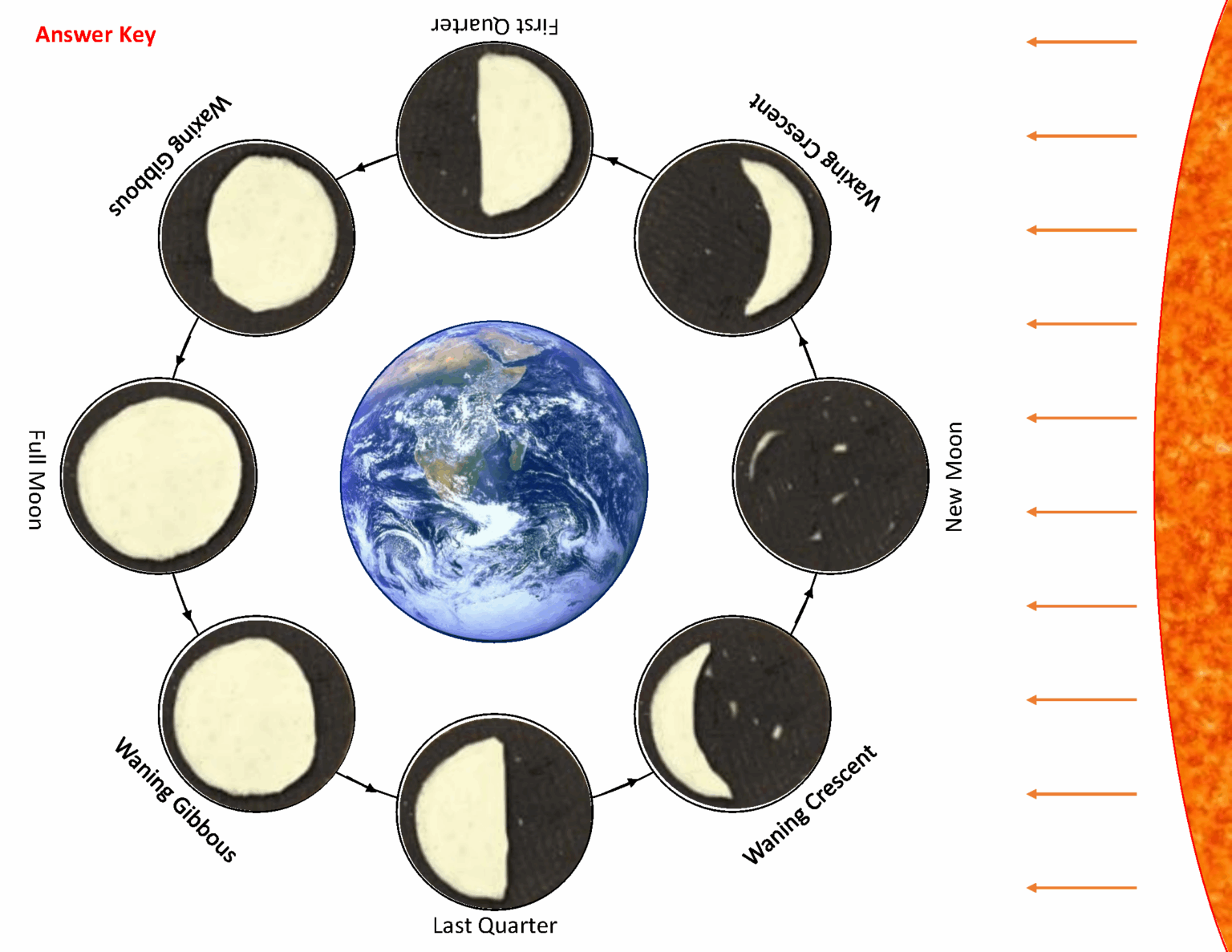 Free Printable Oreo Moon Phases Worksheet - Worksheets Template Free