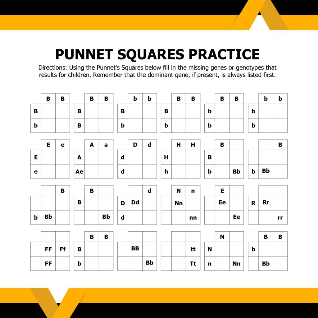 Punnett Square Practice Worksheet Free Printable - Worksheets Template Free