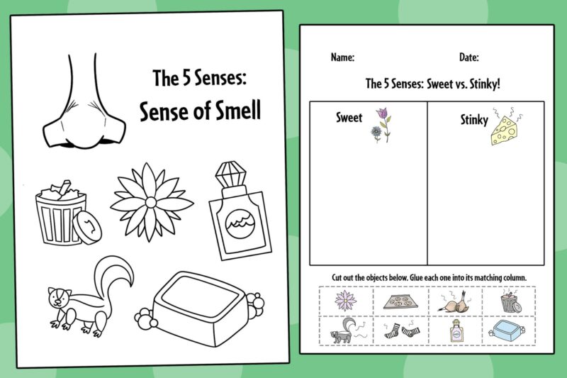 Sense Of Smell Reading Comprehension Worksheet - Worksheets Template Free
