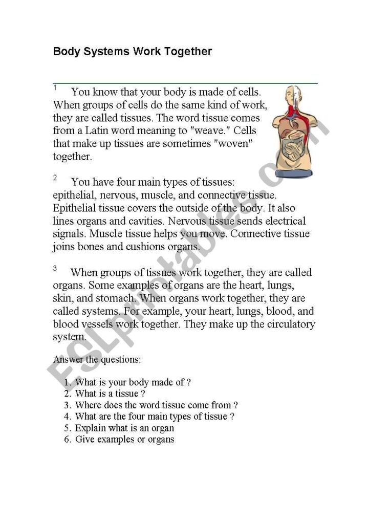 Human Body Reading Comprehension Worksheets - Worksheets Template Free