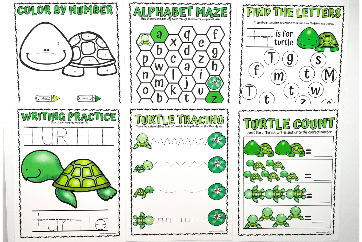 Free Printable Turtle Worksheets - Worksheets Template Free